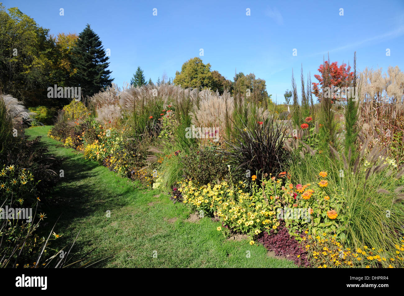 Mixed border Banque de photographies et d’images à haute résolution - Alamy