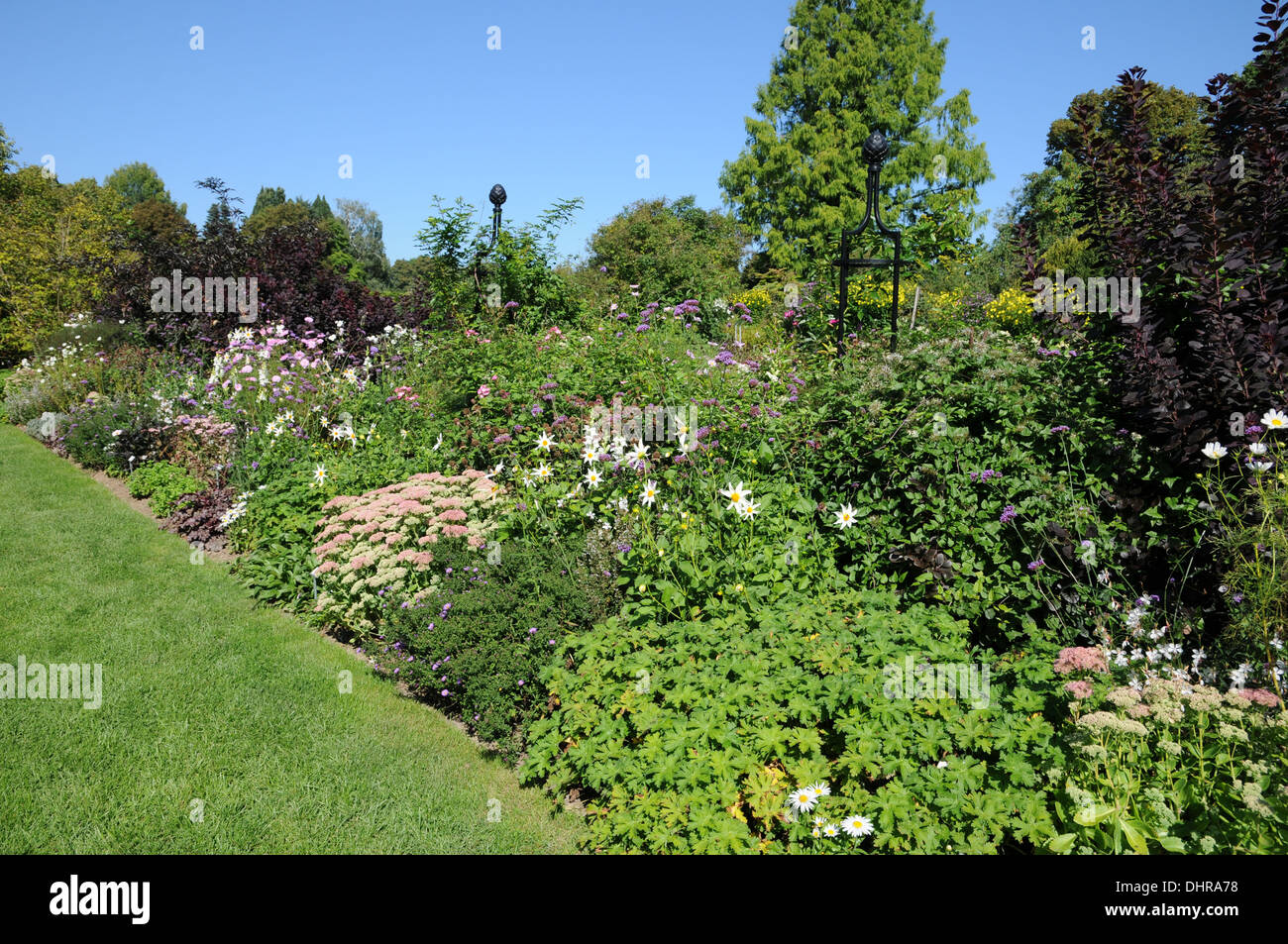 Mixed border Banque de photographies et d’images à haute résolution - Alamy