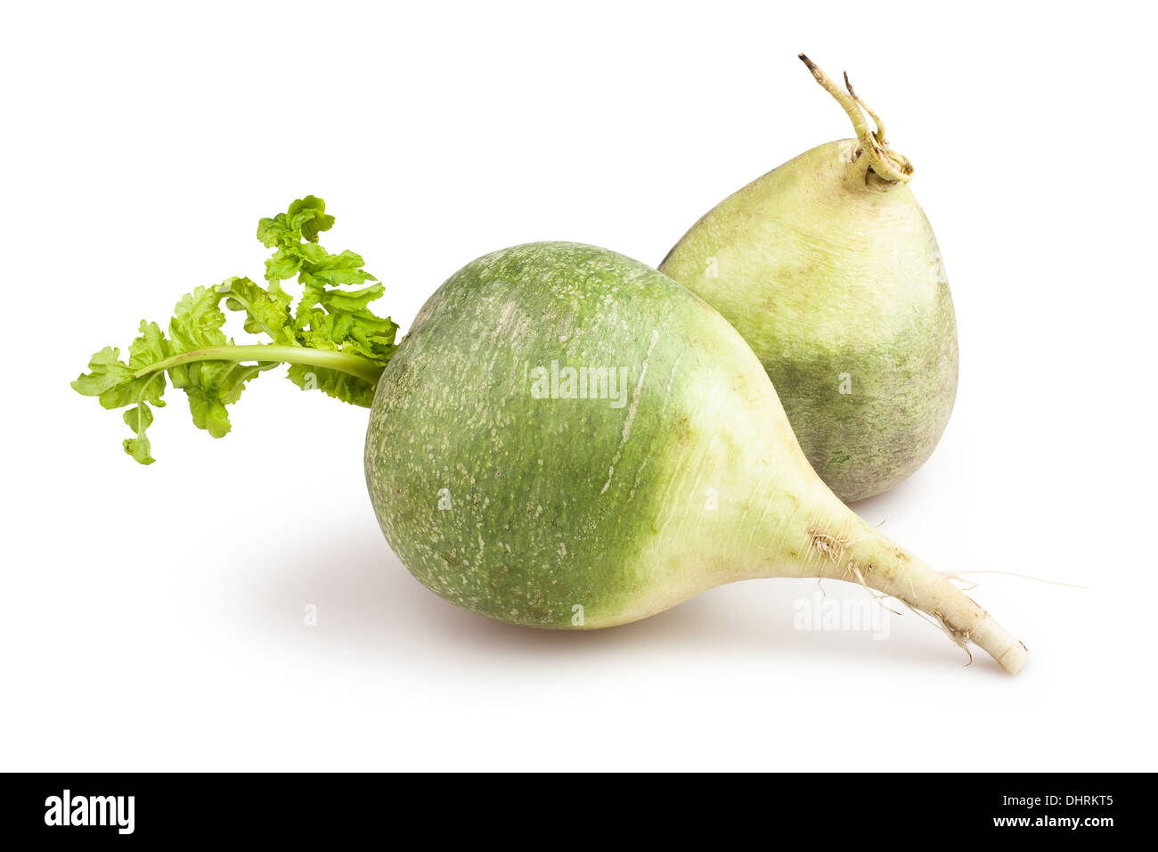 Radis vert Banque de photographies et d’images à haute résolution - Alamy