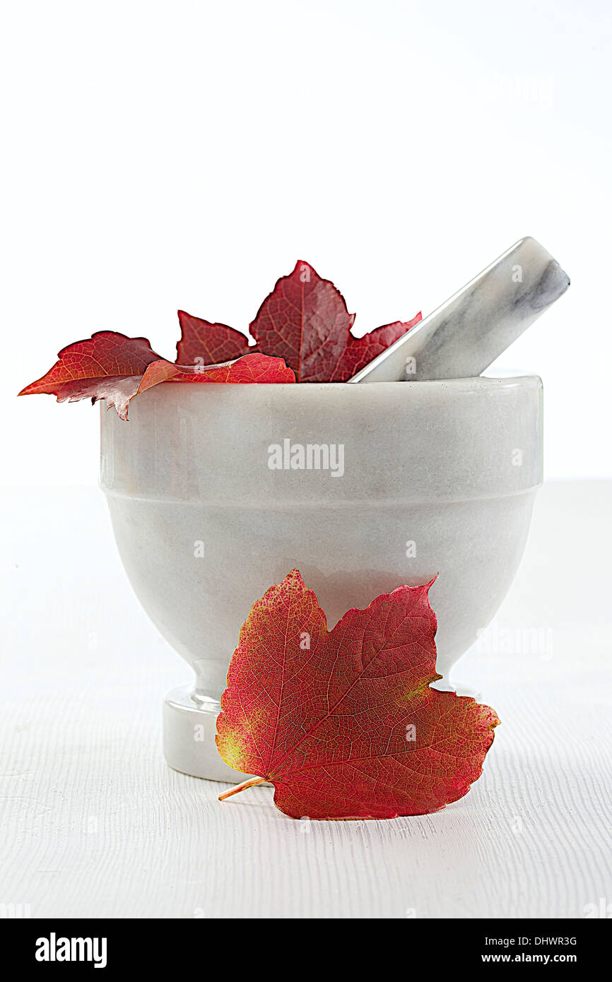 Vigne rouge Banque de photographies et d’images à haute résolution - Alamy