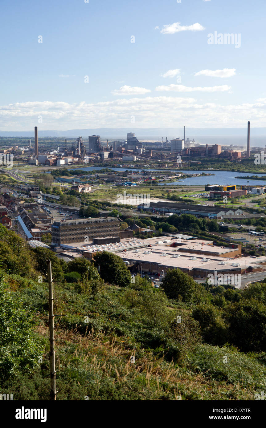 Acid rain tree Banque de photographies et d’images à haute résolution ...
