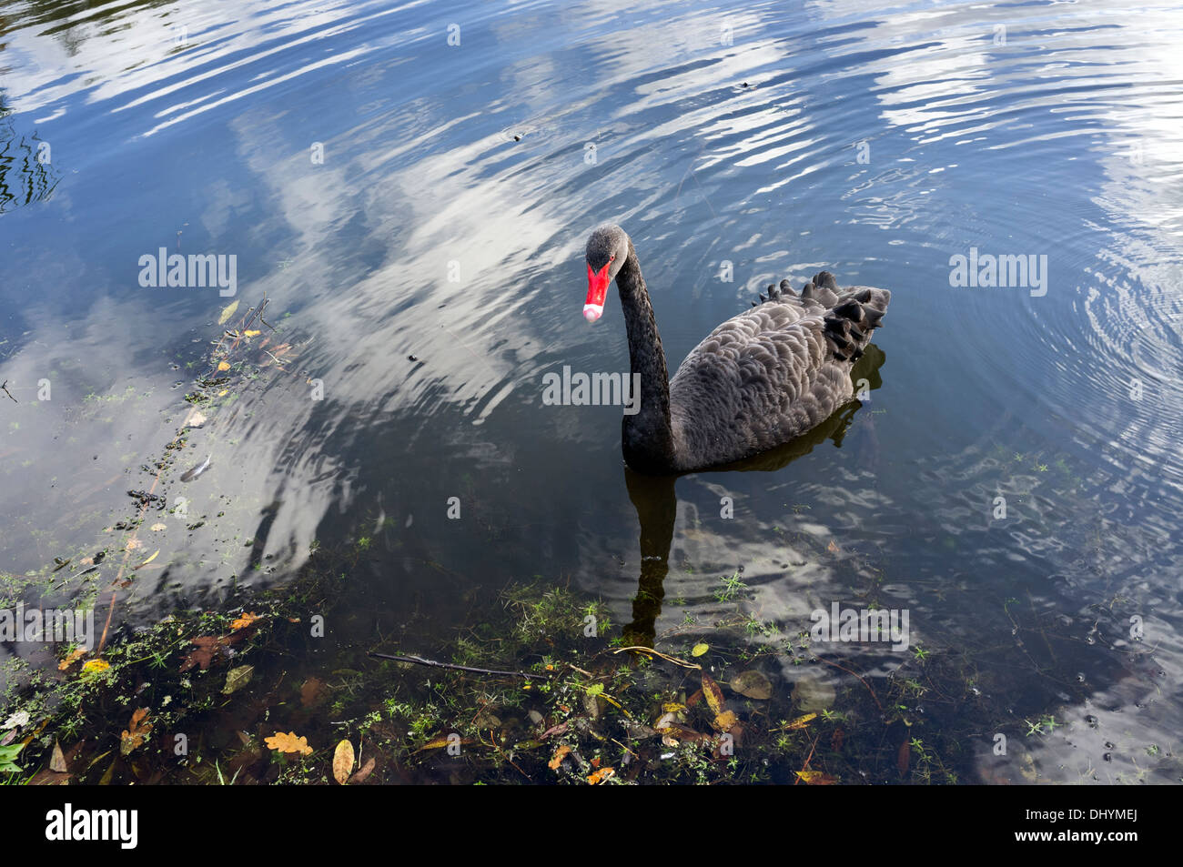 Spade lake Banque de photographies et d’images à haute résolution - Alamy