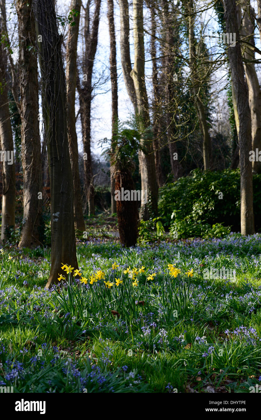Talbot botanic gardens Banque de photographies et d’images à haute ...