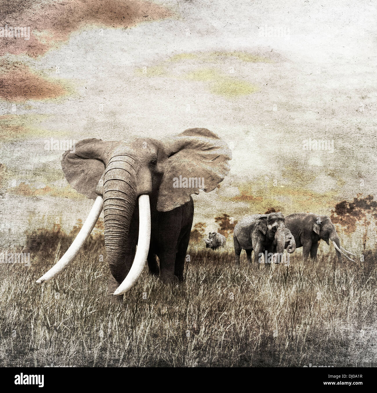 La marche des animaux Banque de photographies et d’images à haute ...