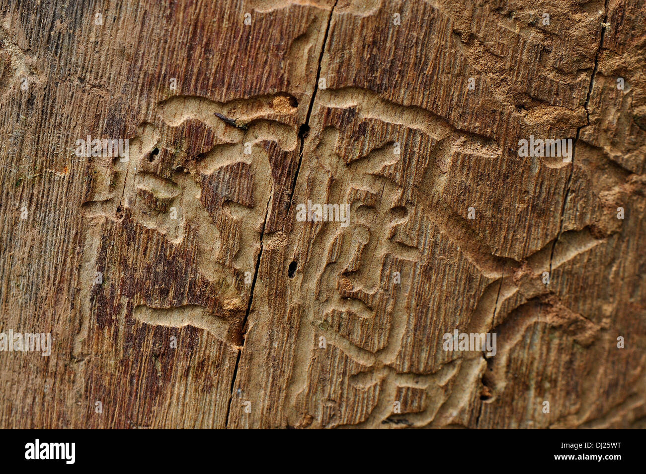 Des messages cryptés Photo Stock - Alamy