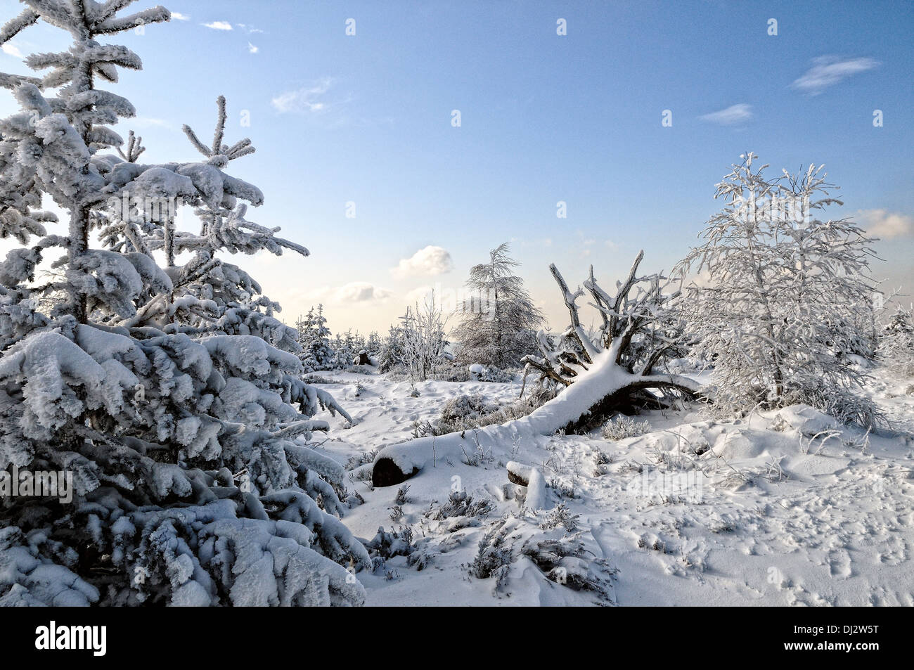 Lothar storm Banque de photographies et d’images à haute résolution - Alamy