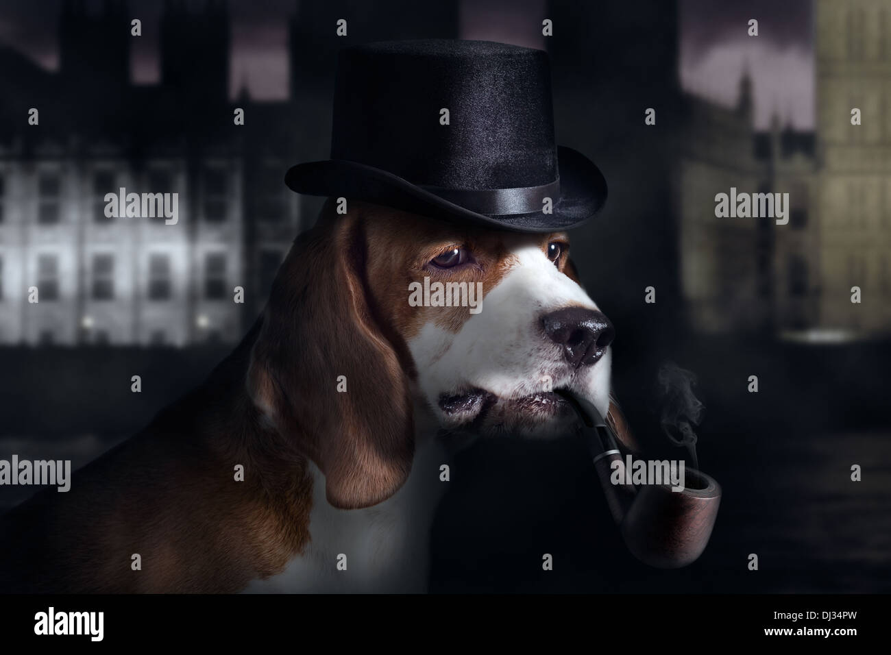 The dog detective Banque d'image et photos - Alamy
