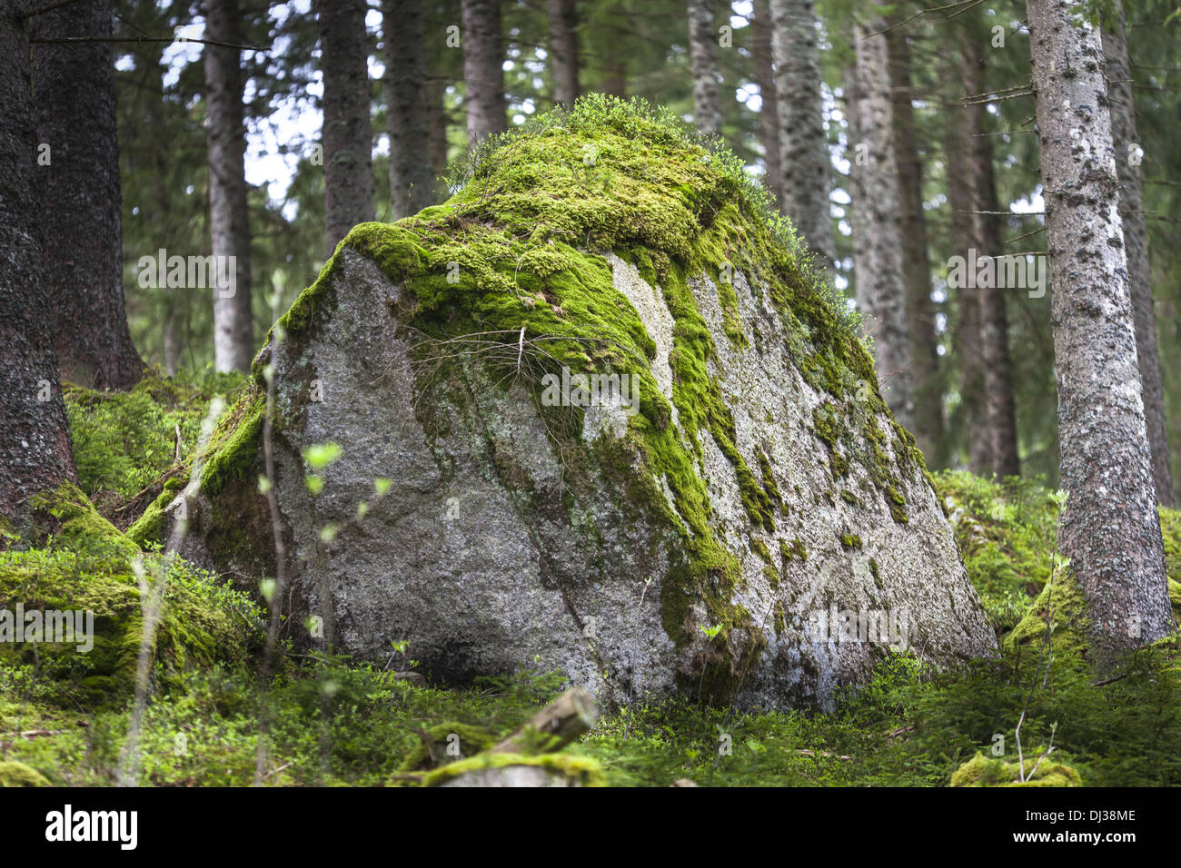 Le gros rocher Banque de photographies et d’images à haute résolution ...