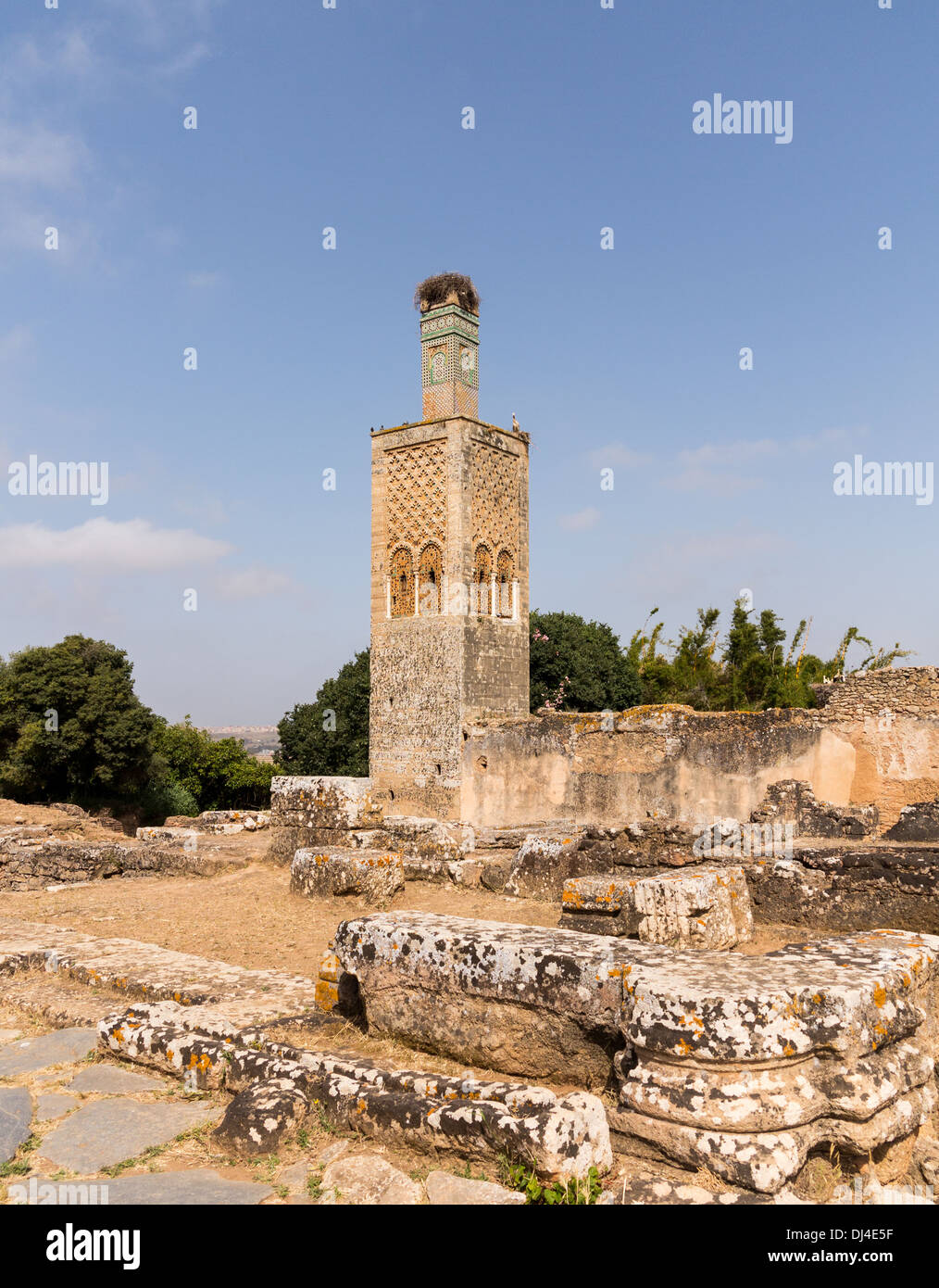 Chellah / Sala Colonia près de Rabat au Maroc - une ancienne ville en ...