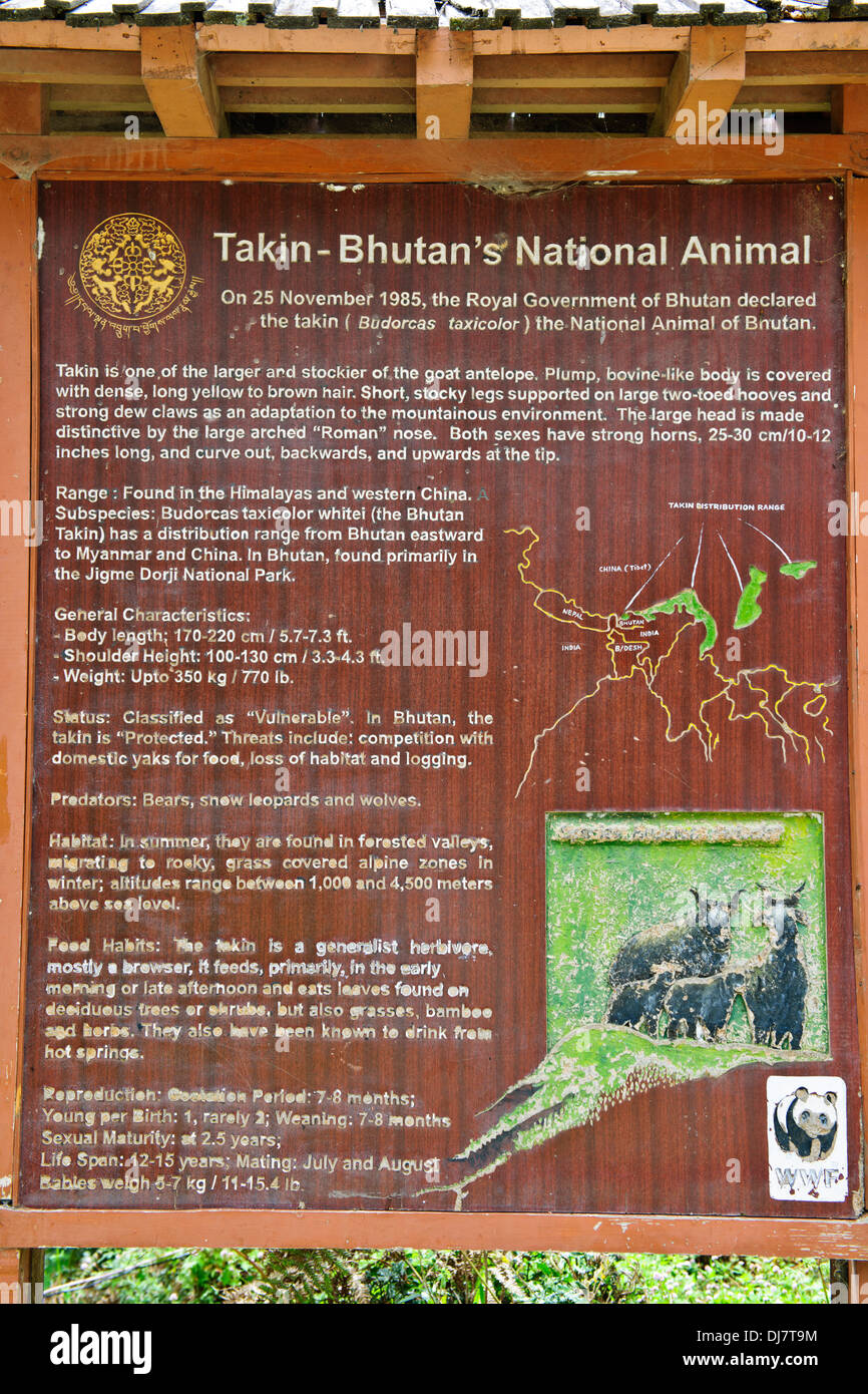 Motithang takin Banque de photographies et d’images à haute résolution ...