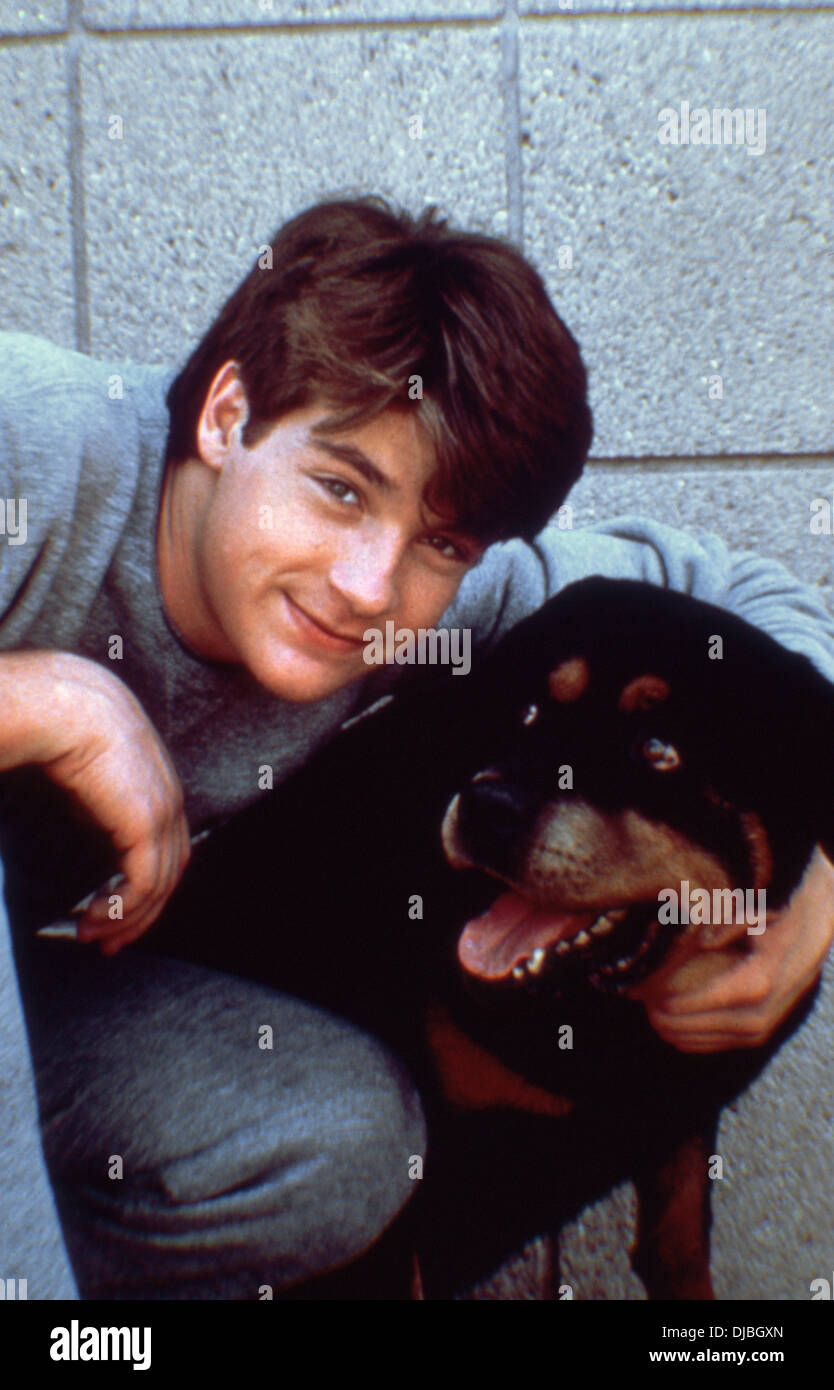 Loup adolescent aussi 1987 loup adolescent 2 alt jason bateman Banque ...