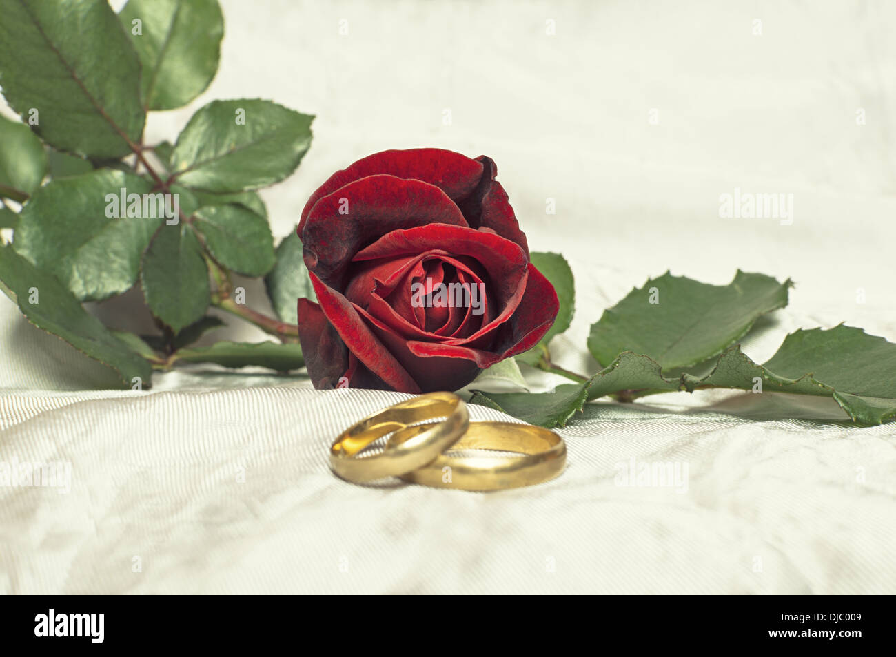 Anneaux de mariage Banque de photographies et d’images à haute ...