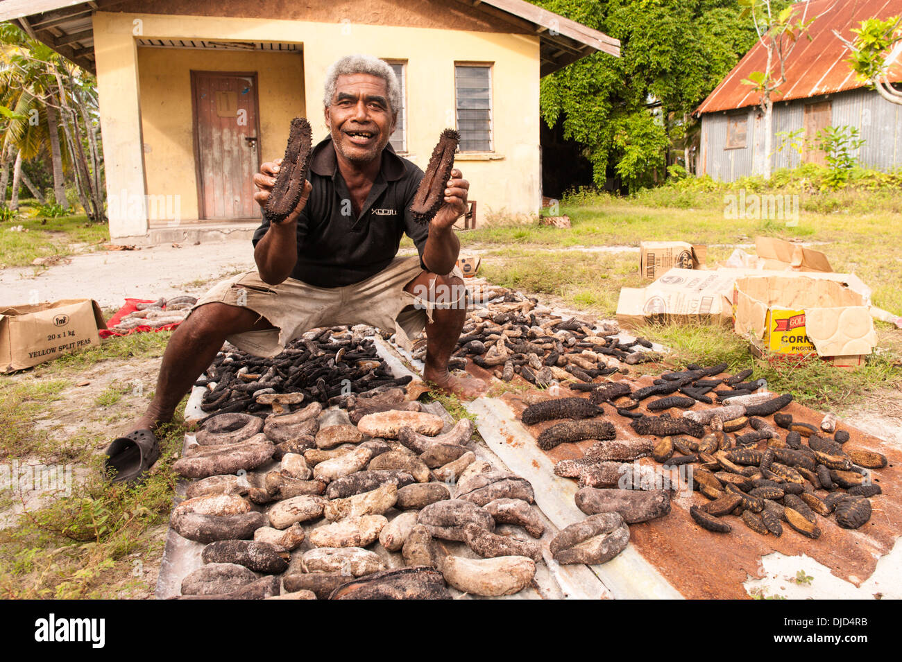 Bêche de mer Banque de photographies et d’images à haute résolution - Alamy