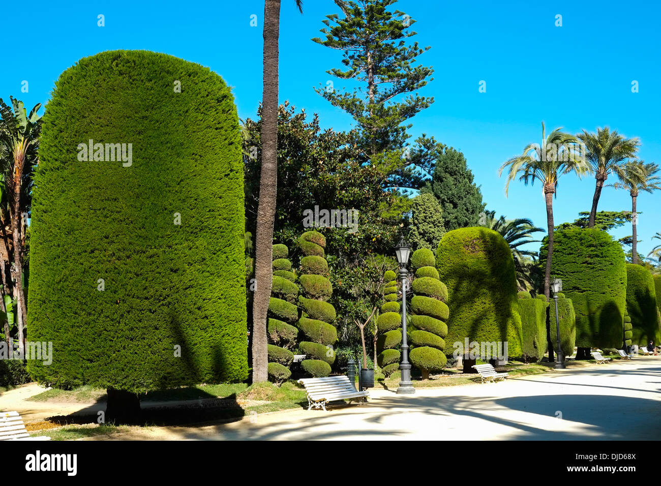 Cadiz garden parque genoves Banque de photographies et d’images à haute ...