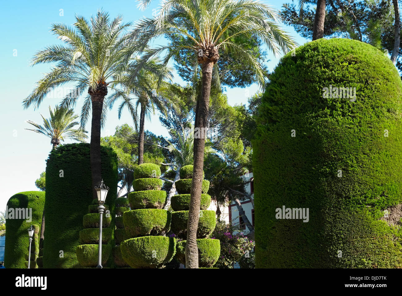 Cadiz garden parque genoves Banque de photographies et d’images à haute ...