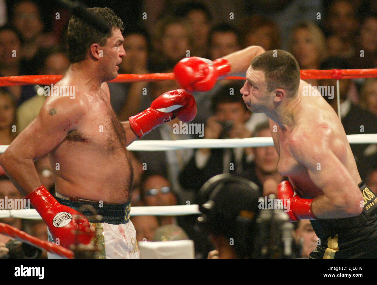 South african boxer corrie sanders Banque de photographies et d’images ...