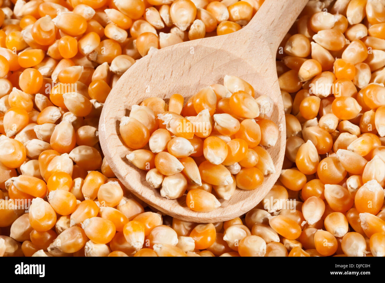 Grain jaune sec sec Banque de photographies et d’images à haute ...