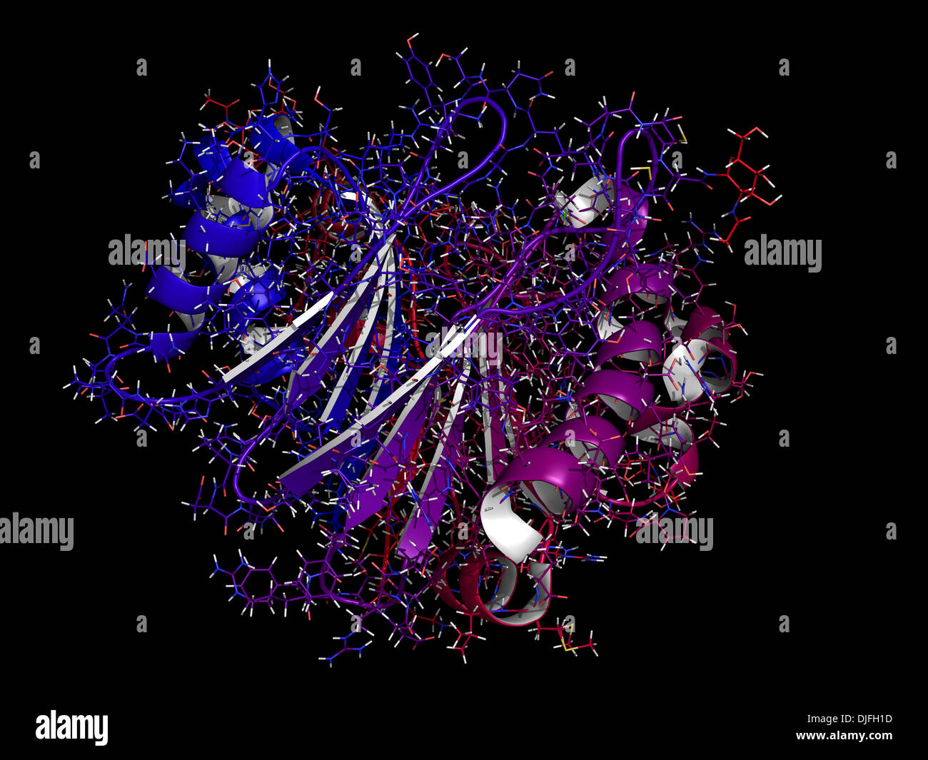 Dornase alfa Banque de photographies et d’images à haute résolution - Alamy