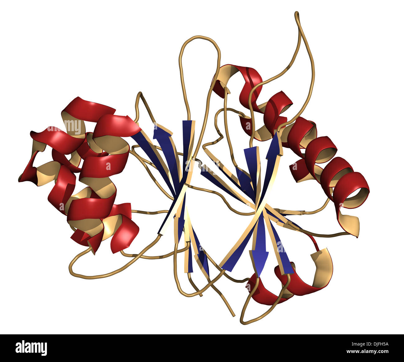 Dornase alfa Banque de photographies et d’images à haute résolution - Alamy