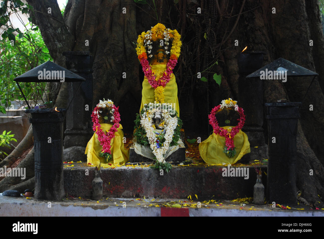 Temple du serpent kerala Banque de photographies et d’images à haute ...
