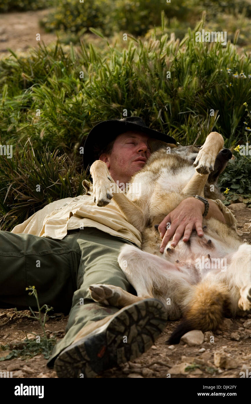 Russian wolf hunting dog Banque de photographies et d’images à haute ...