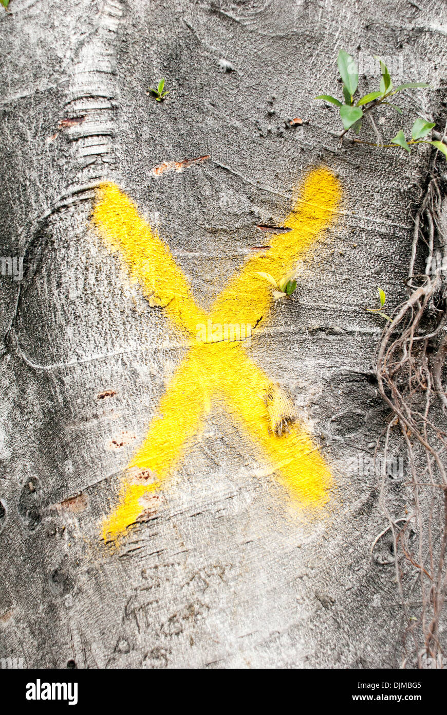Croix jaune Banque de photographies et d’images à haute résolution - Alamy