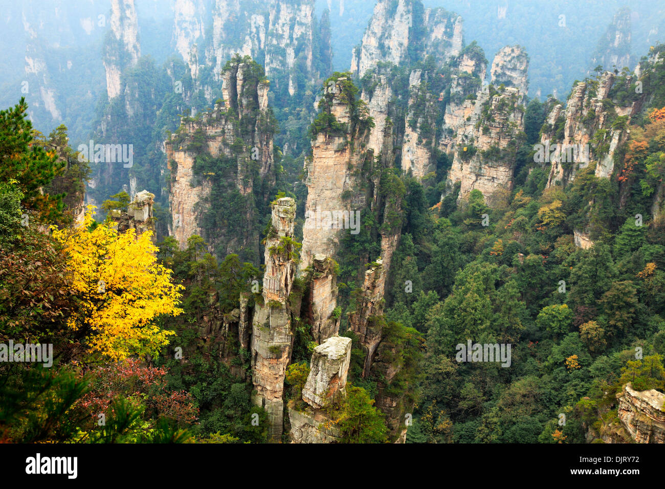 Parc forestier national de zhangjiajie Banque de photographies et d ...
