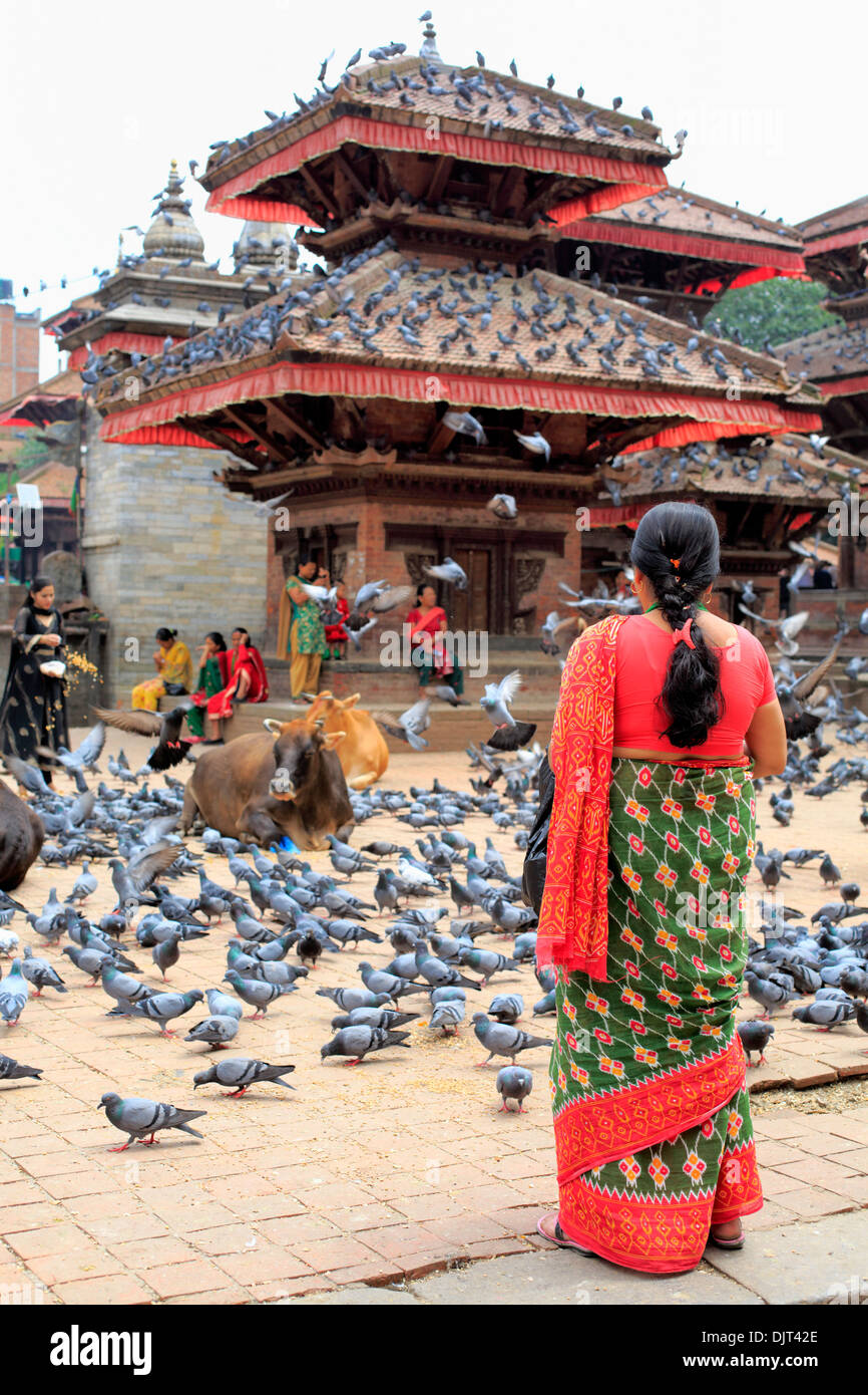 Nepal nepali pigeon pigeons Banque de photographies et d’images à haute ...