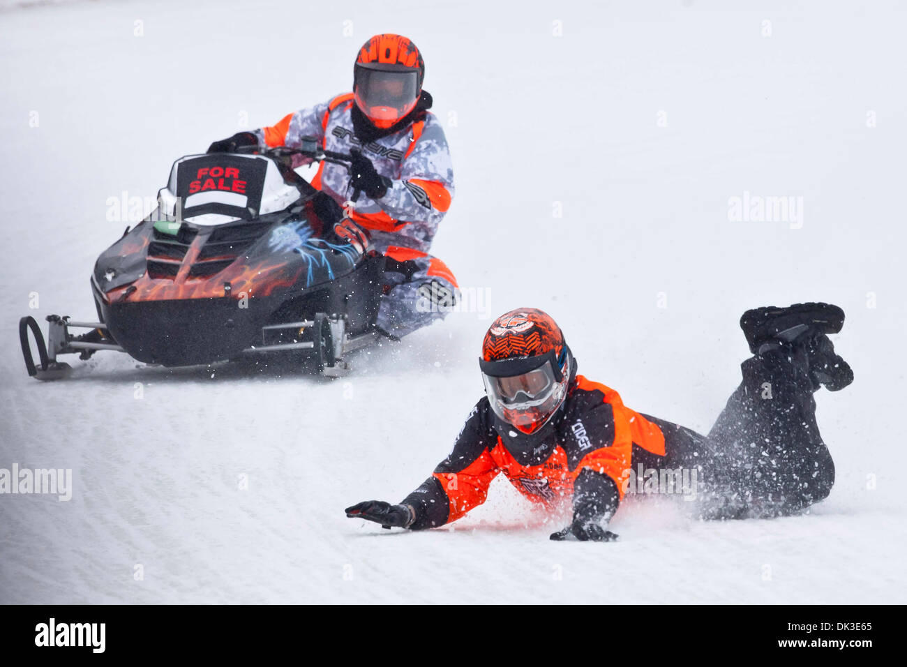 Leon belly Banque de photographies et d’images à haute résolution - Alamy