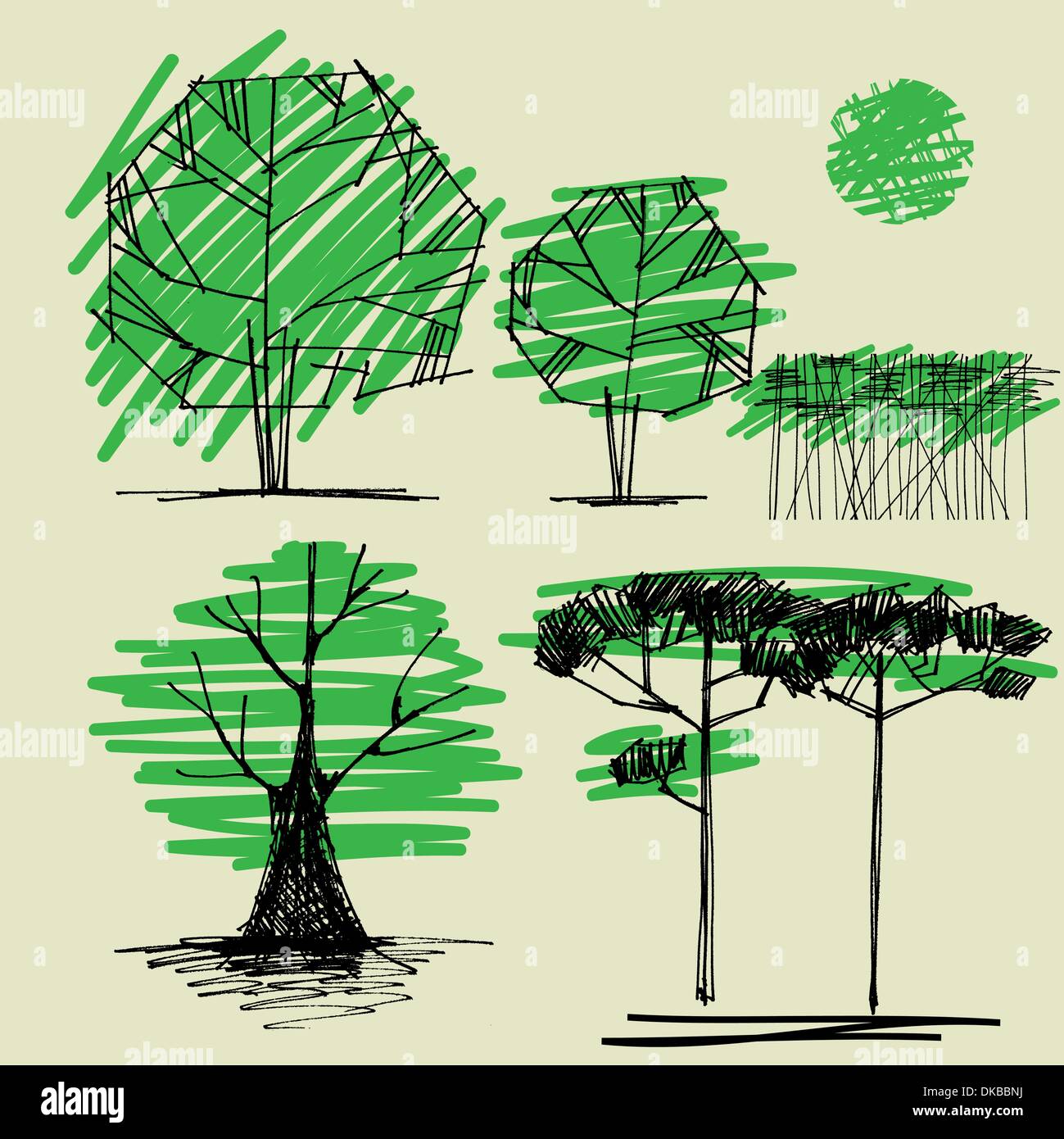 Arbre dessin Banque d'images vectorielles - Alamy