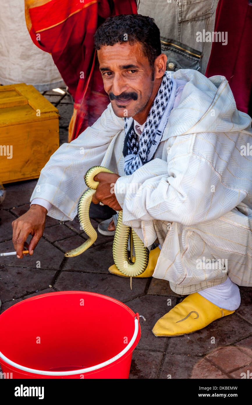 Serpent de marrakech Banque de photographies et d’images à haute ...