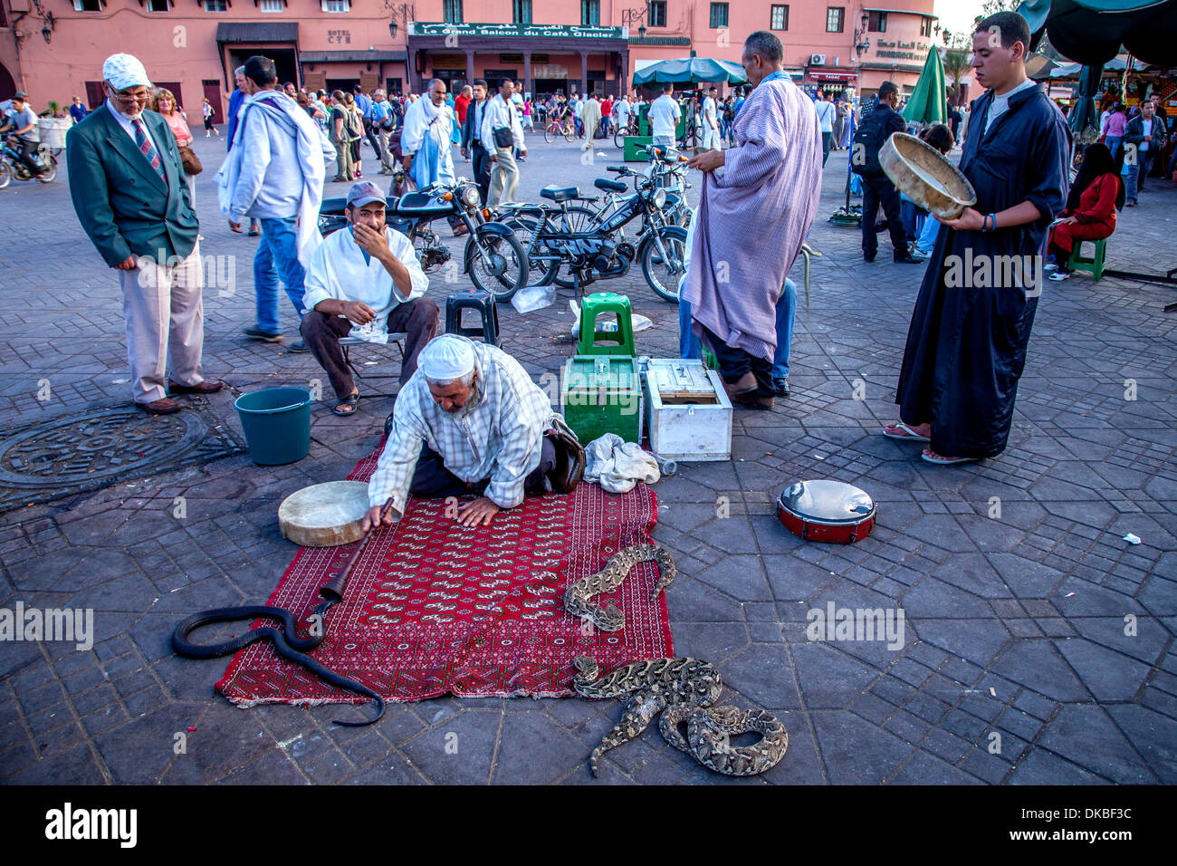 Serpent de marrakech Banque de photographies et d’images à haute ...