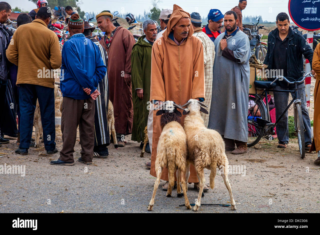 Canne marocaine Banque de photographies et d’images à haute résolution ...