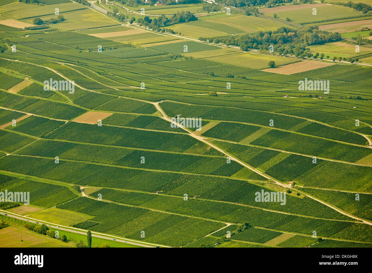 Vignobles de baden Banque de photographies et d’images à haute ...