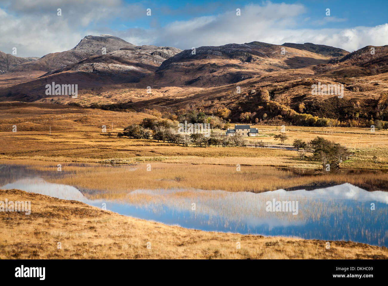 Loch damh Banque de photographies et d’images à haute résolution - Alamy