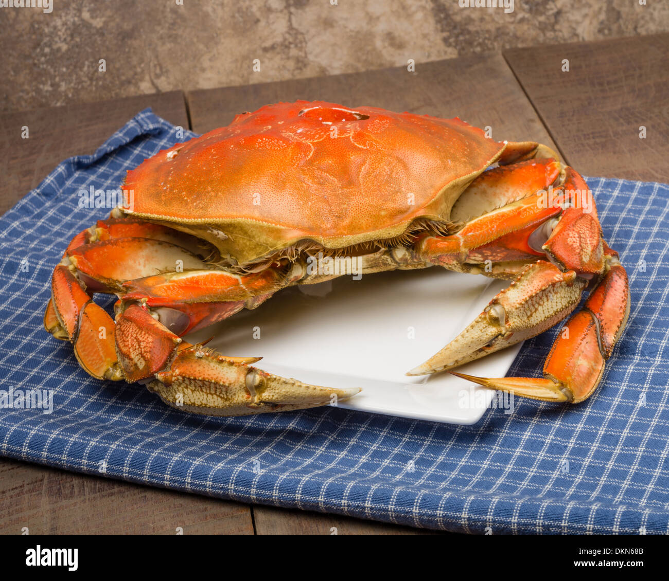 Tourteau crabe Banque de photographies et d’images à haute résolution ...