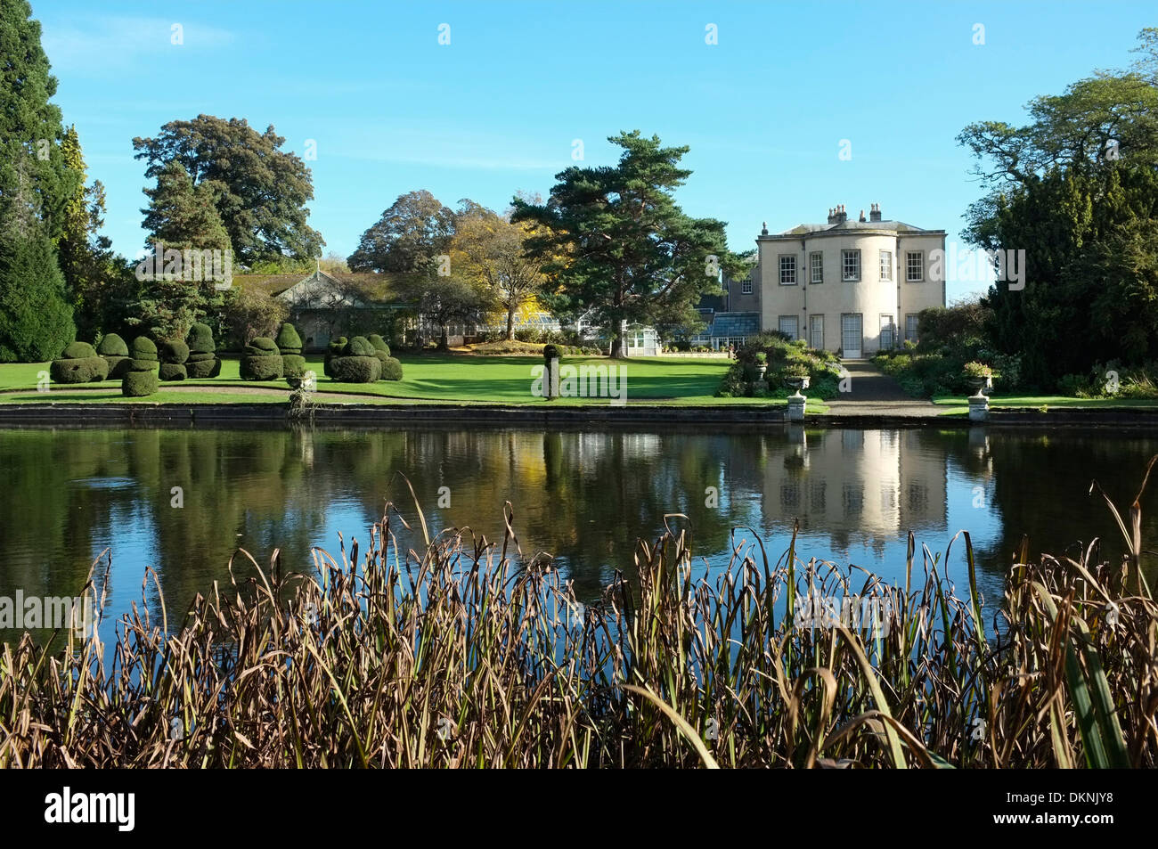 Colonel monsieur leonard ropner bt Banque de photographies et d’images ...