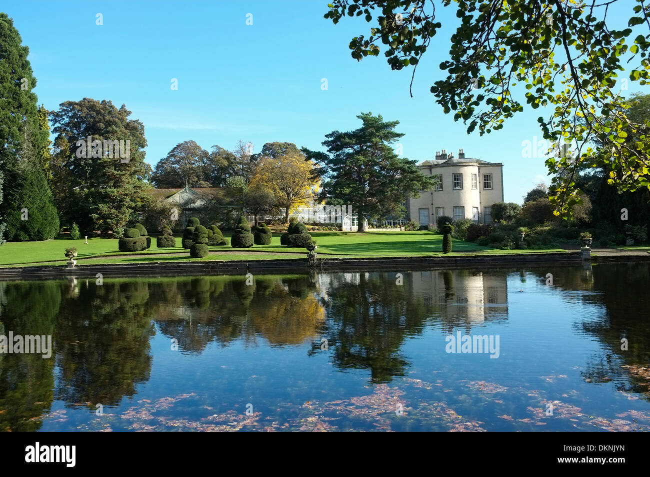 Colonel monsieur leonard ropner bt Banque de photographies et d’images ...