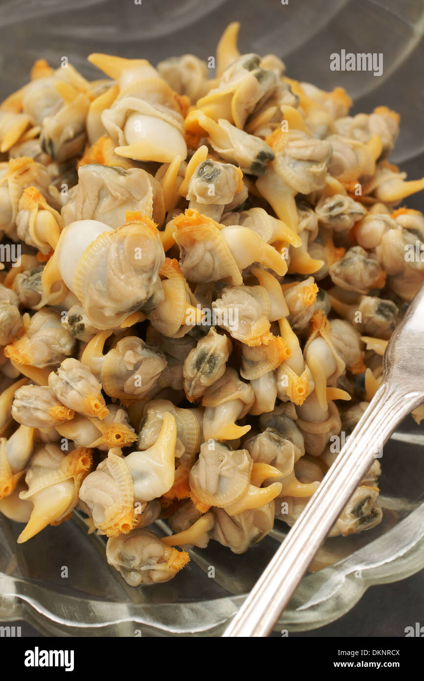 Coques de mer palourdes Banque de photographies et d’images à haute ...