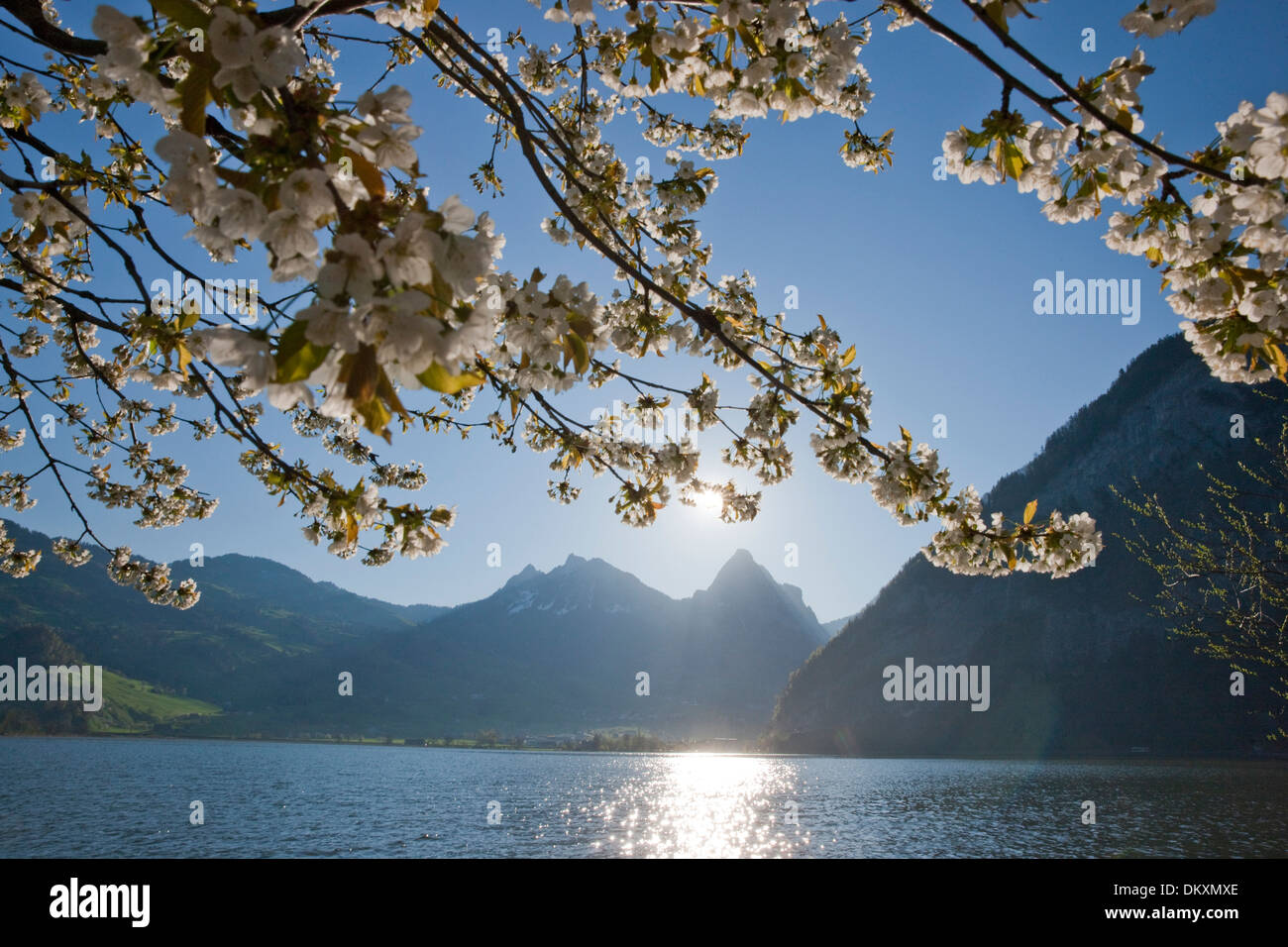 Lake lauerz Banque de photographies et d’images à haute résolution - Alamy