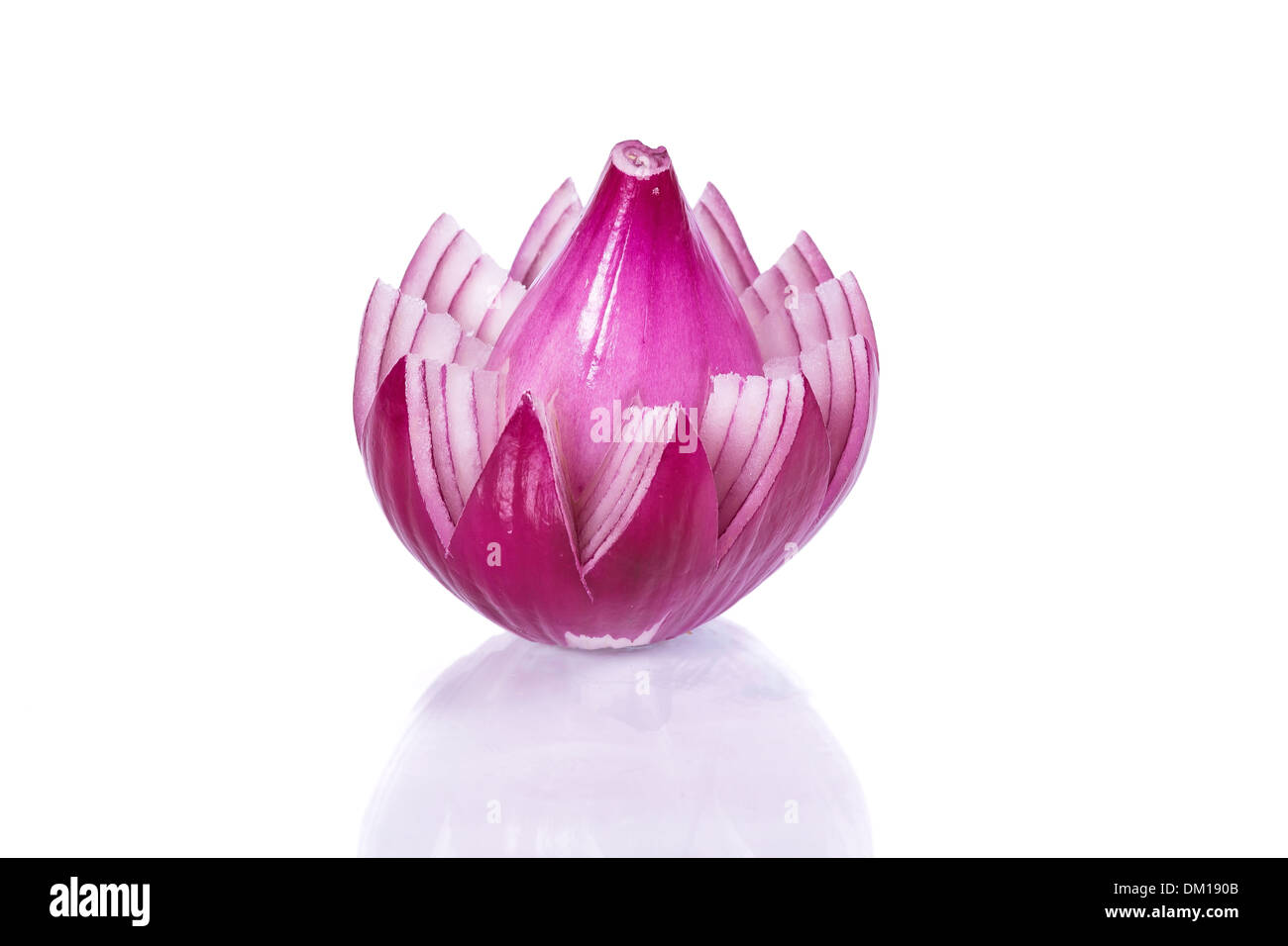 Oignon violet Banque de photographies et d’images à haute résolution ...