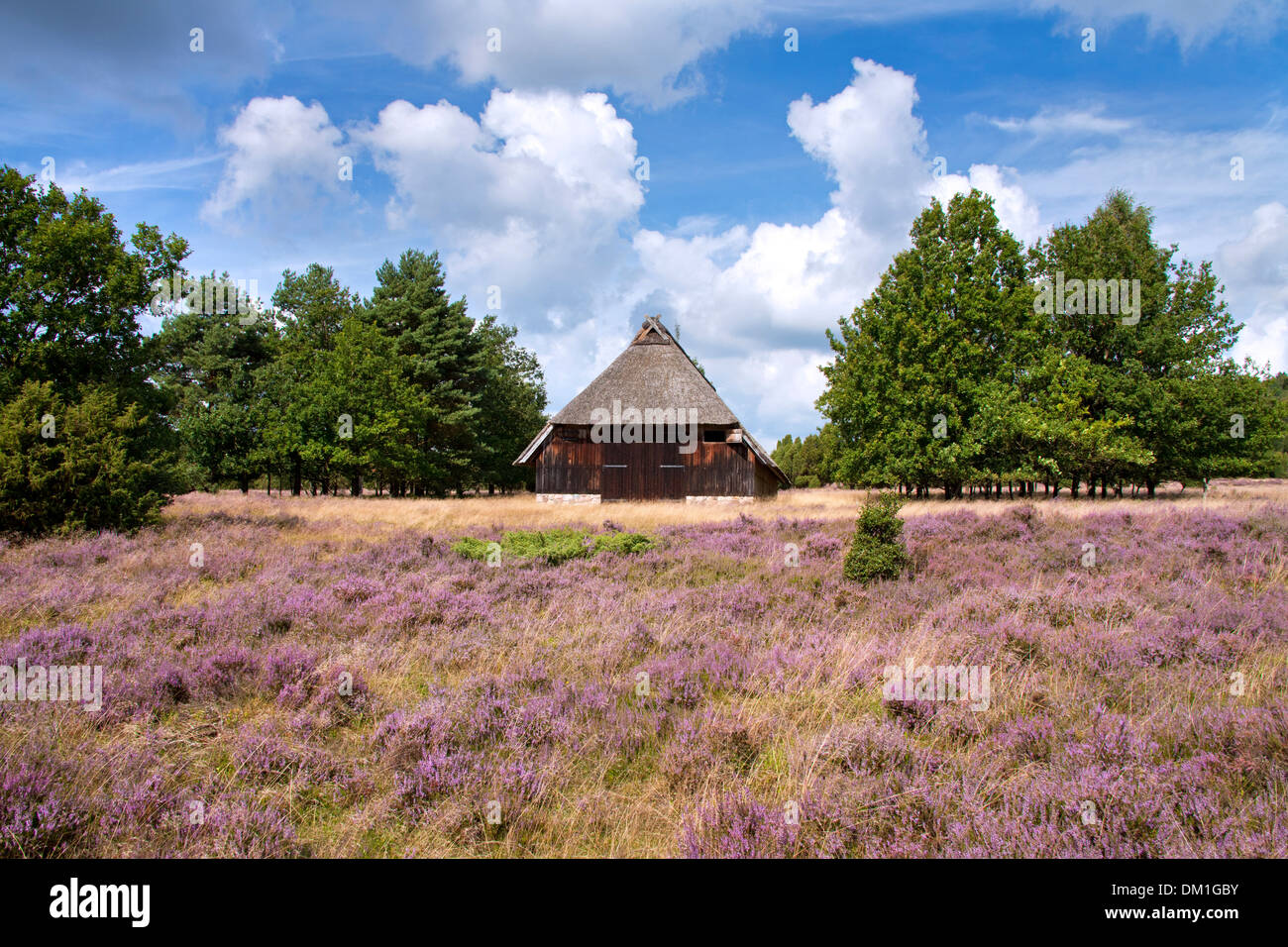 La bergerie Banque de photographies et d’images à haute résolution - Alamy