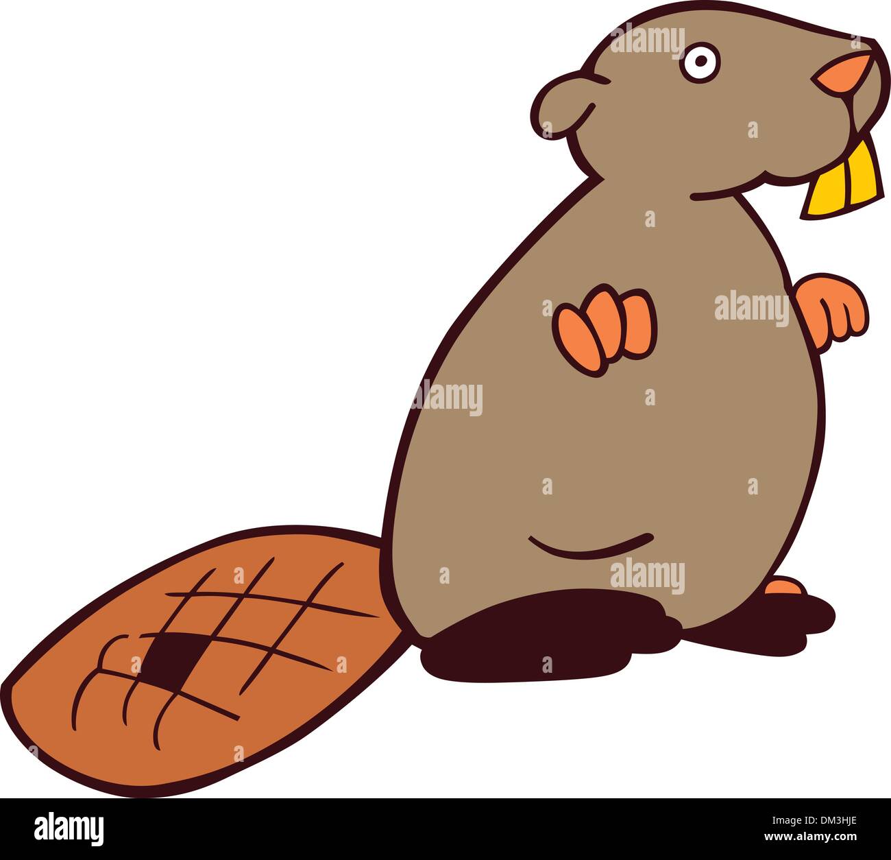 Barrage barrage de castor Banque d'images détourées - Alamy