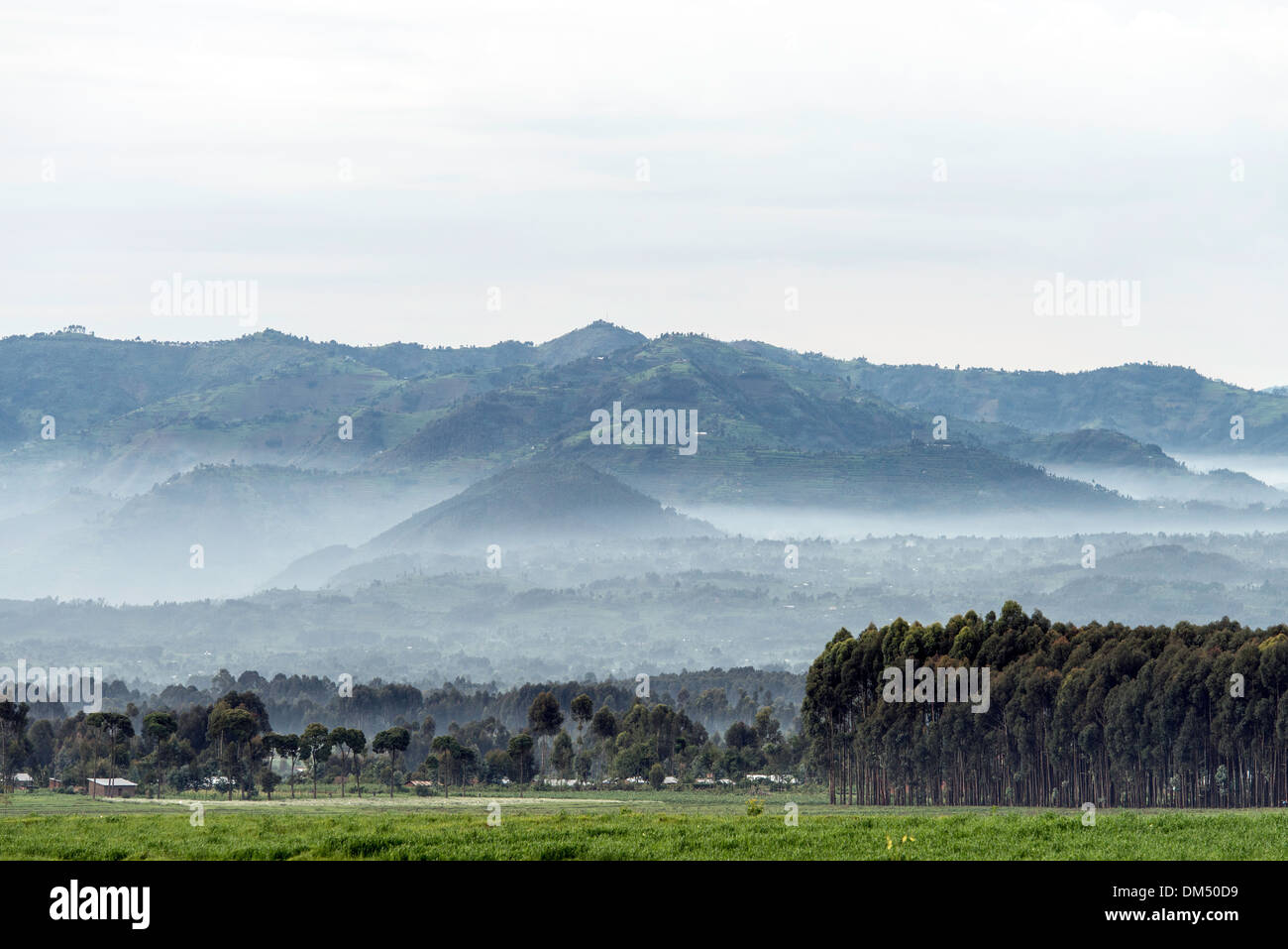 Parc national des volcans rwanda Banque de photographies et d’images à ...