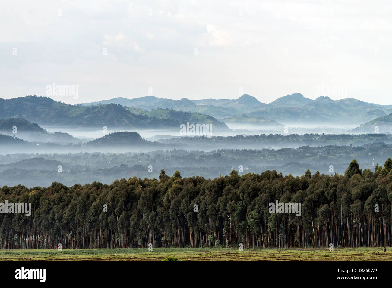 Le Parc National des Volcans paysages Afrique Rwanda Photo Stock - Alamy