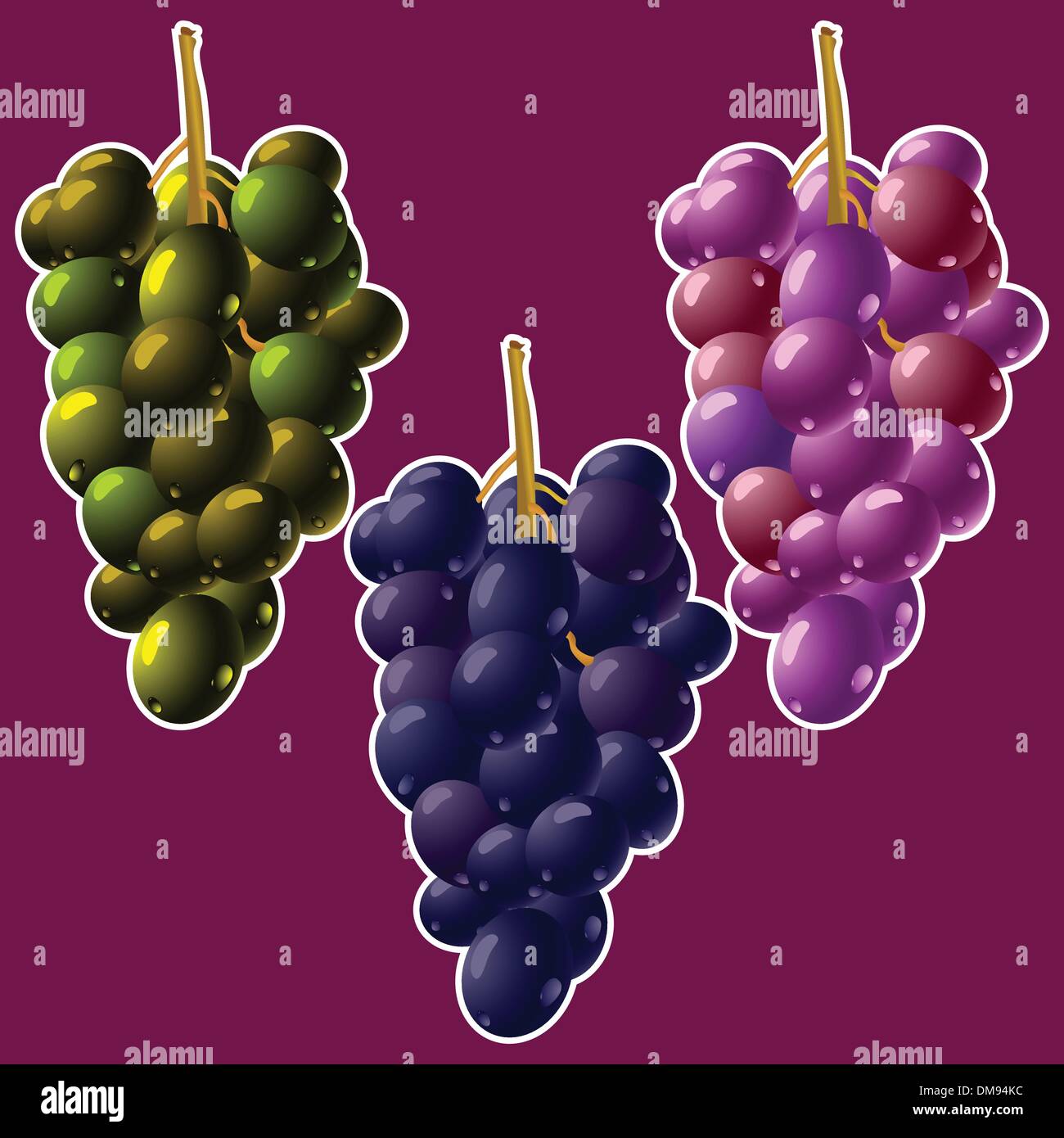 Grappe raisin noir et blanc Banque d'images vectorielles - Alamy