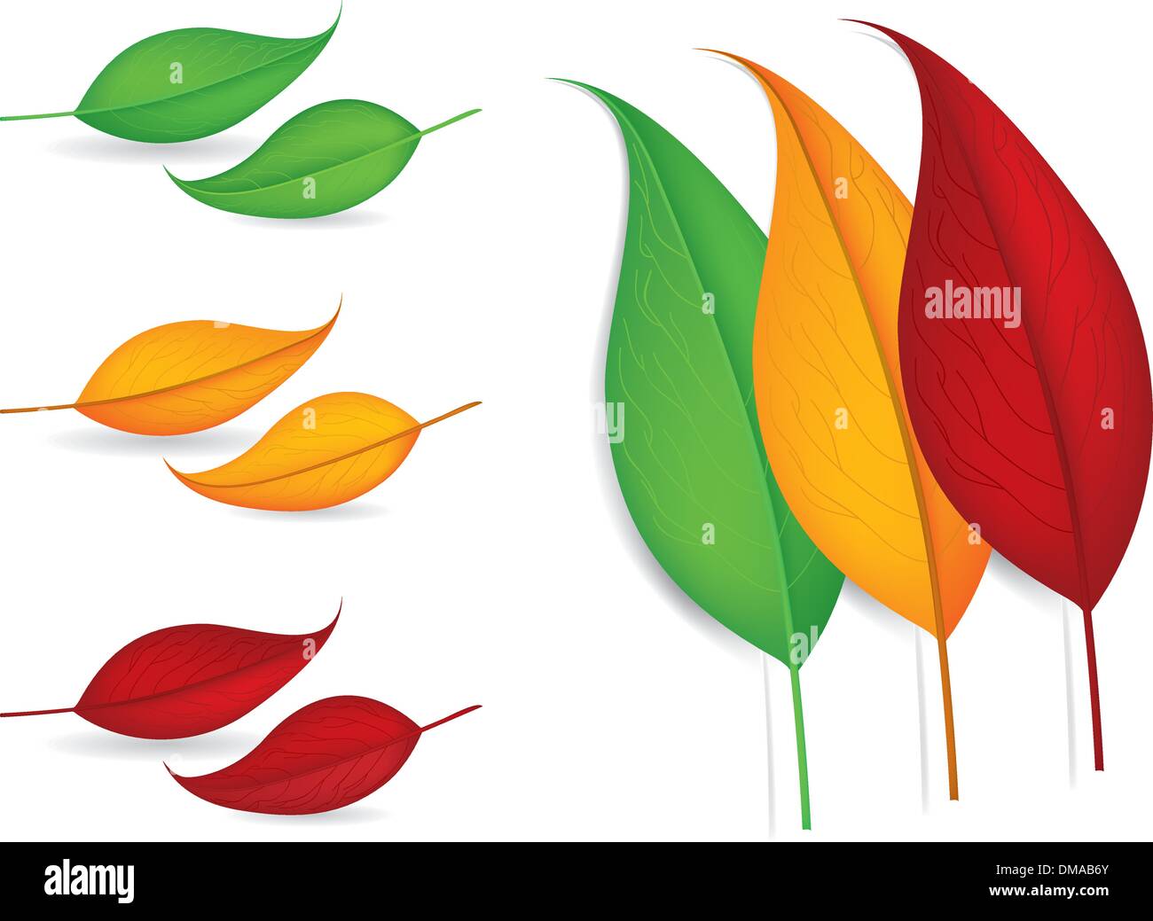 Ilustraciones vectoriales vectores Banque d'images vectorielles - Alamy