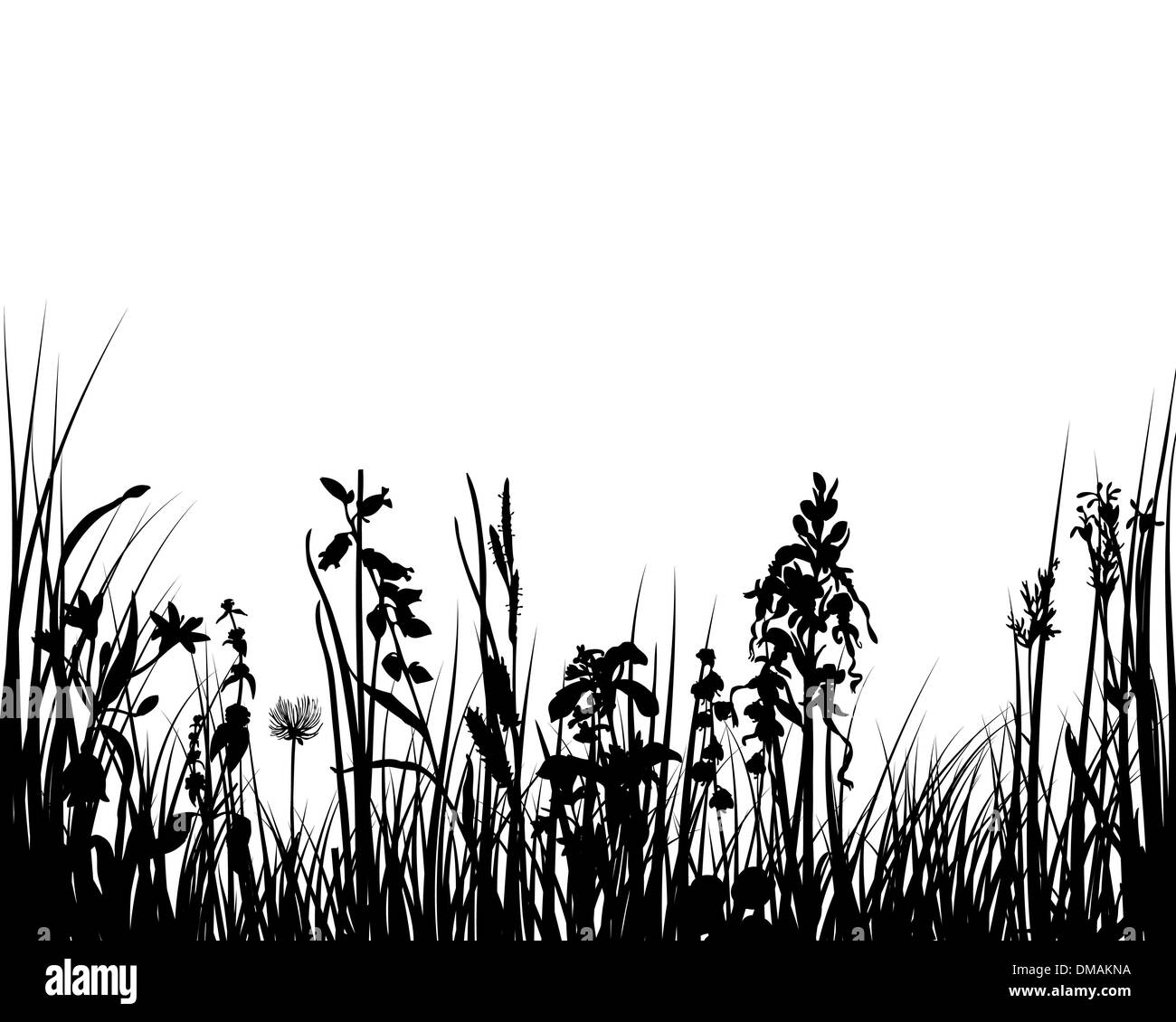 Fleurs paysagères Banque d'images vectorielles - Alamy