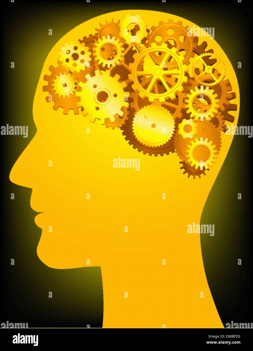 Structure de la tête humaine Banque de photographies et d’images à ...