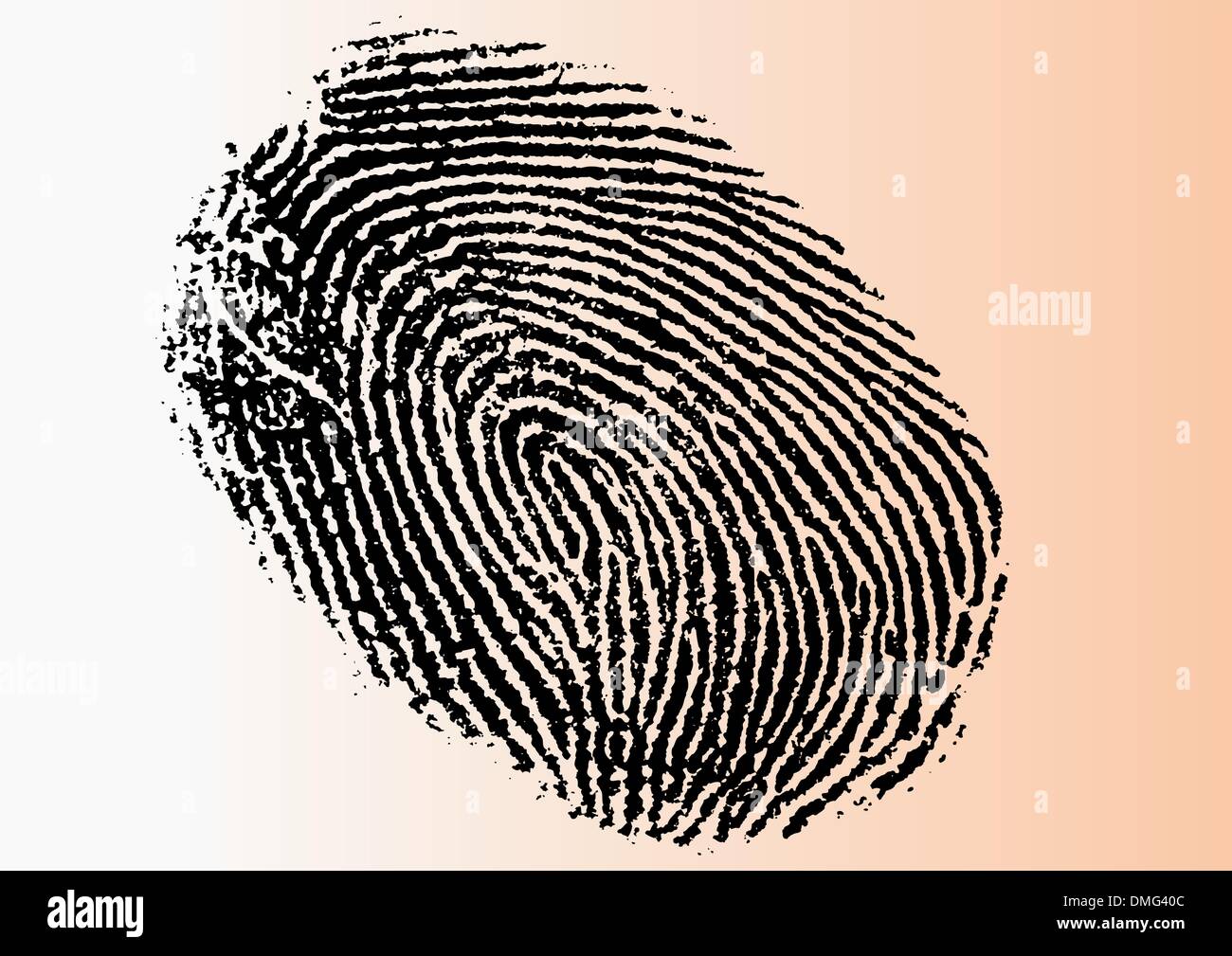 Fingerprint close up Banque d'images vectorielles - Alamy